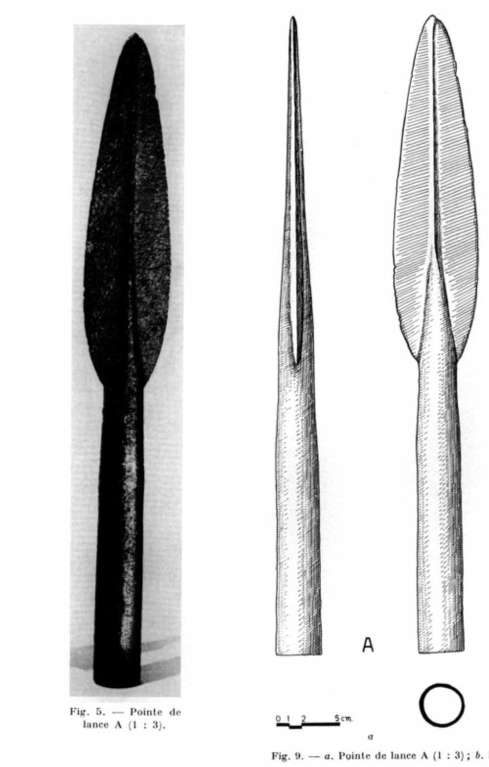 Macedonian sarisse | The Herb Pantagruelion